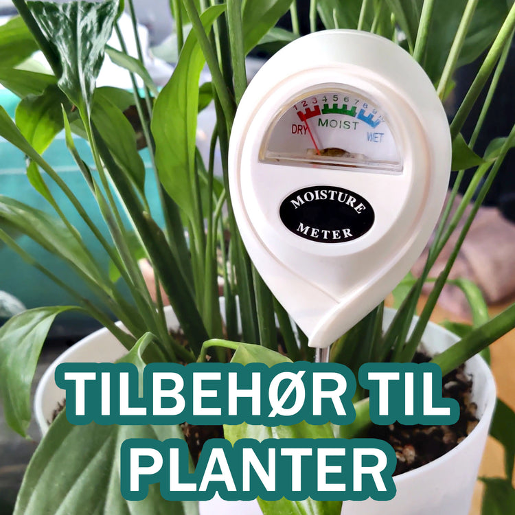PlanteHjem.no - Alt til dine planter
