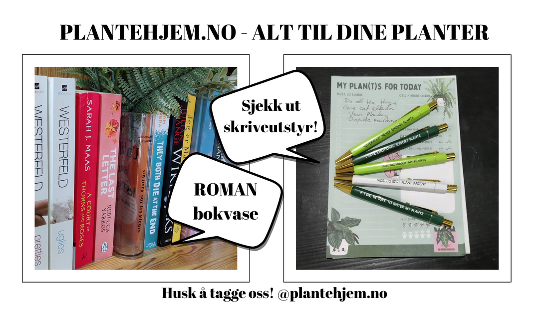 PlanteHjem.no - Alt til dine planter