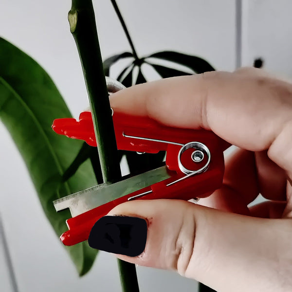 Plante kniv til tommel – PlanteHjem